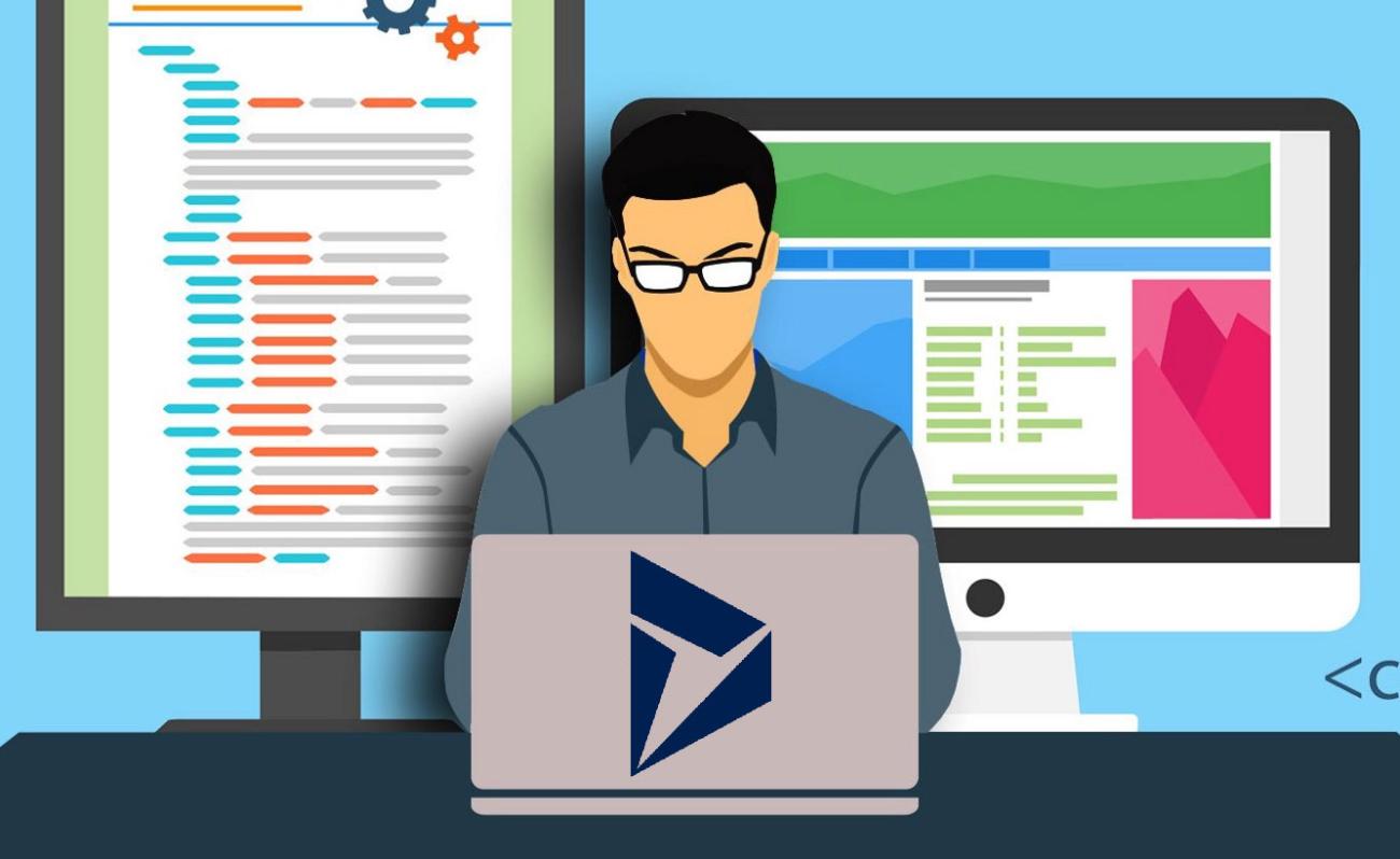 What Does A Dynamics 365 Developer Offer Dynamics Chronicles